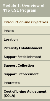 New York State Division of Child Support Enforcement: Partners for Children